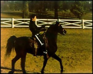 Elvis Presley – Circle G Ranch (Amazing 55 Photos) – Elvis Presley