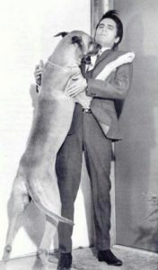 Elvis Presley With Animals 15 Photos – Elvis Presley