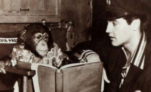 Ultimate Elvis Presley Trivia Quiz – 20 Questions – Elvis Presley