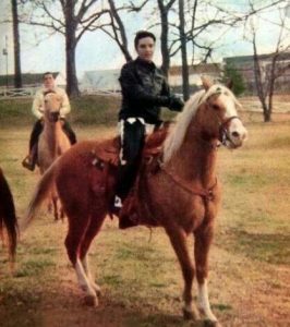 Elvis Presley With Animals 15 Photos – Elvis Presley