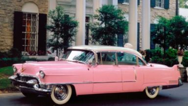 One of Elvis’ favorite colors were pink. – Elvis Presley