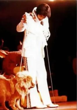Elvis Presley and Animals – Elvis Presley